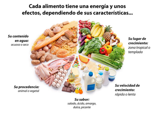 PROPIEDADES ENERGÉTICAS DE LOS ALIMENTOS - Amaya Flores